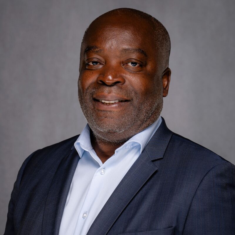 Team Bios - EFESO Management Consultants